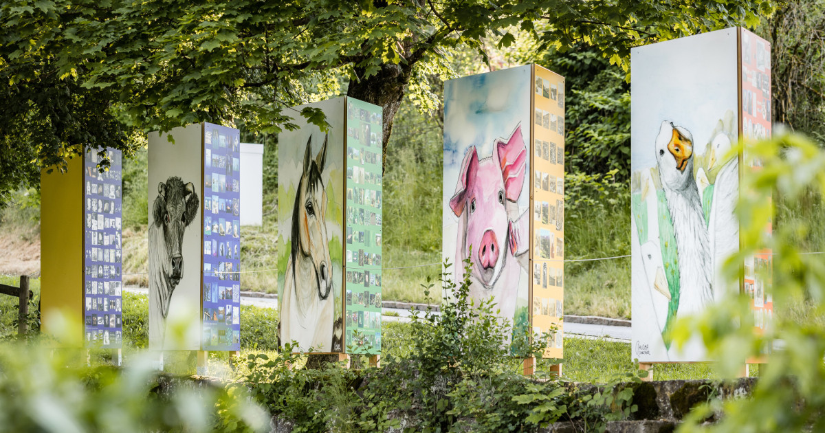 Paradiesgarten – Moosburg im Glück